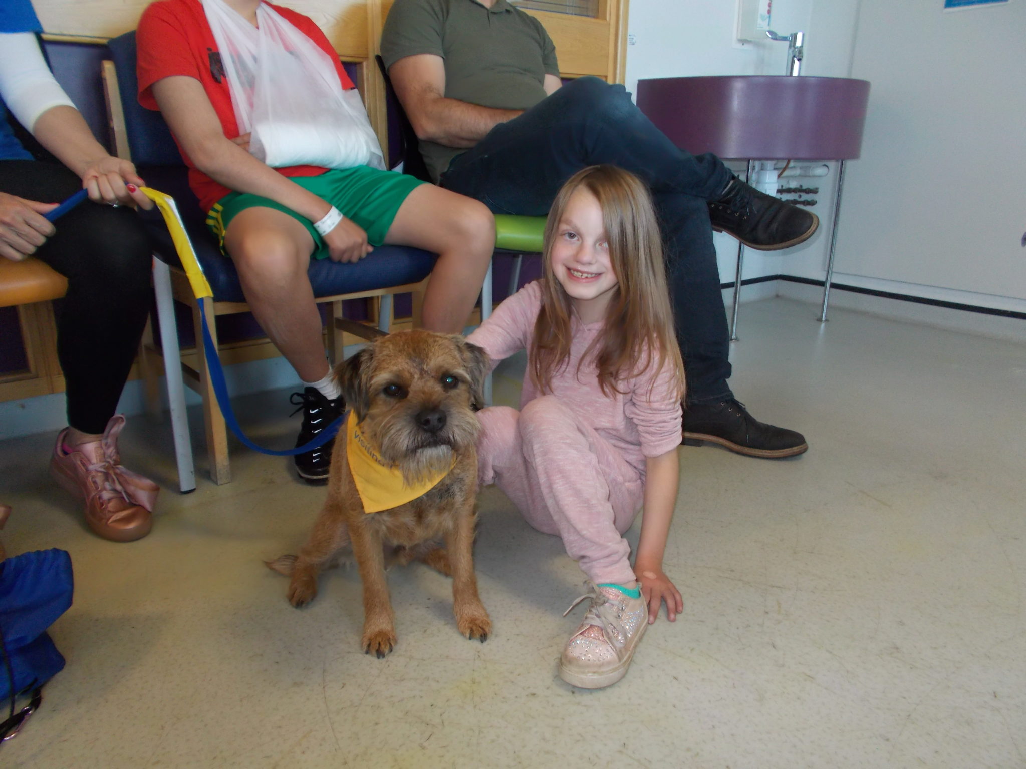Therapy dog Magnus delivers smiles to children’s ward - Doncaster and ...