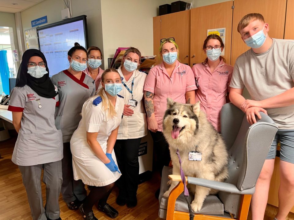 DBTH opportunity: Trainee Nurse Associate - Doncaster and Bassetlaw ...